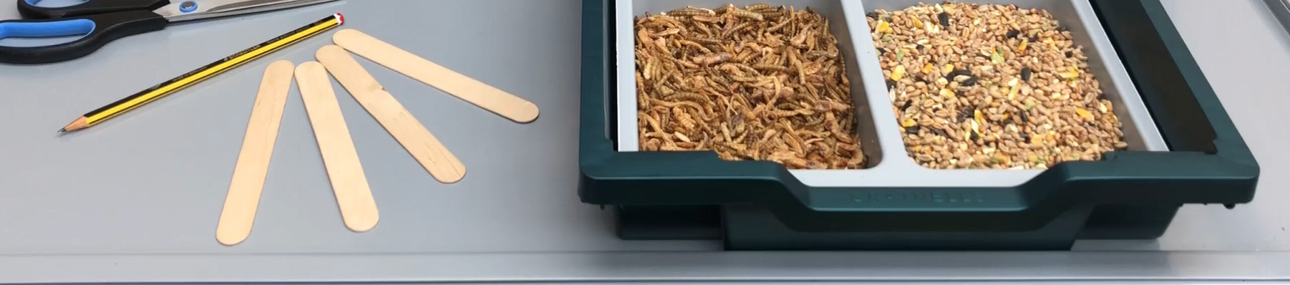 Bird feeder cardboard tube - Gratnells Ltd.